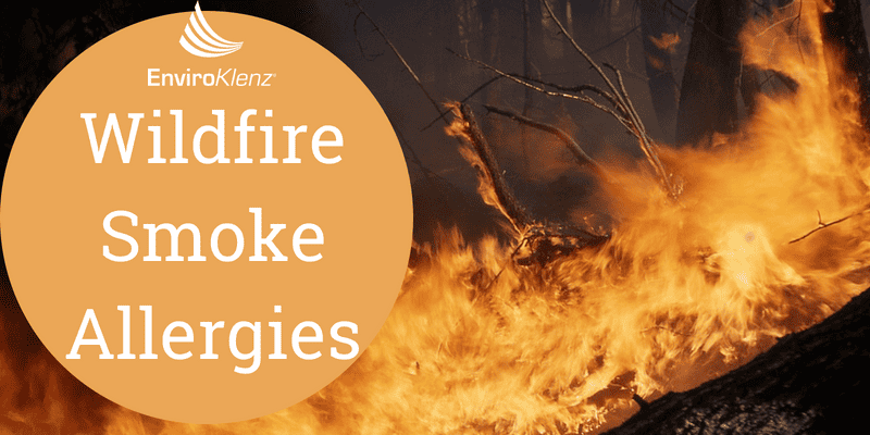Wildfire Smoke Allergies | Enviroklenz