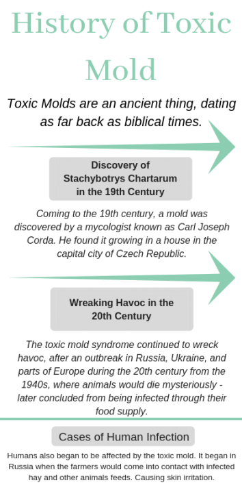 What is the History of Toxic Mold?